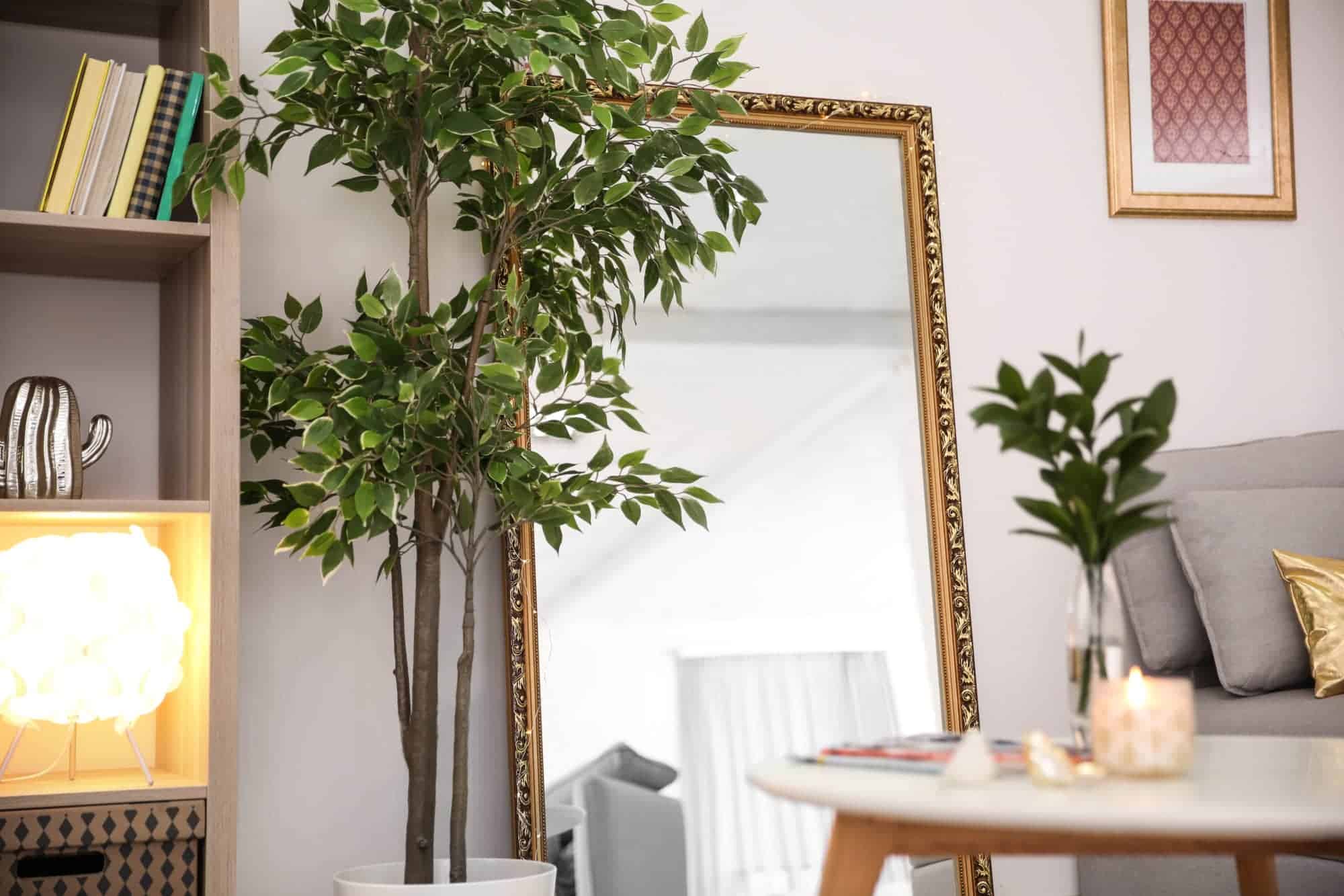A Guide to Mirror Placement in Your Home - The Glass Guru