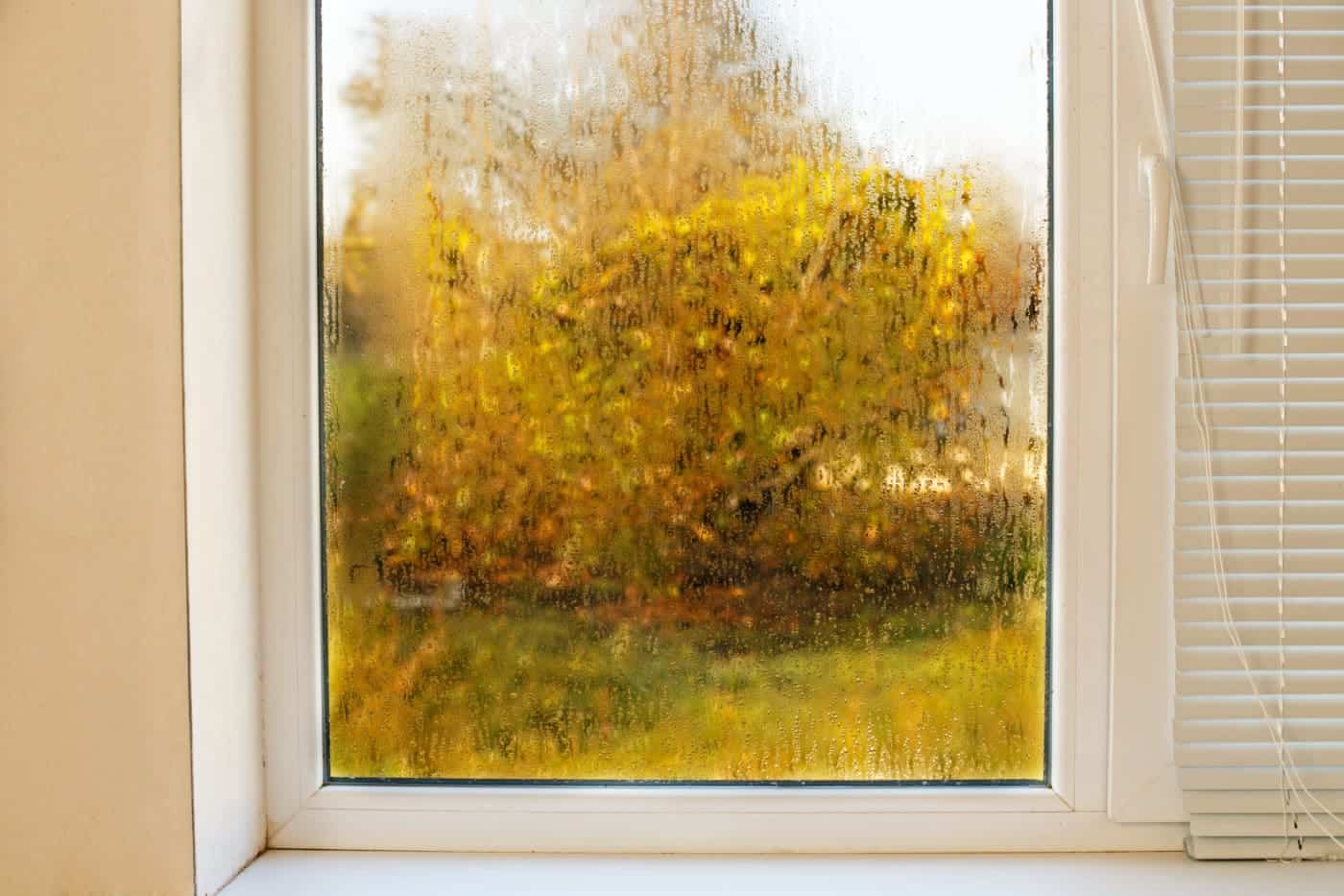 Unveiling the Unique Art of Foggy Window Repair - The Glass Guru