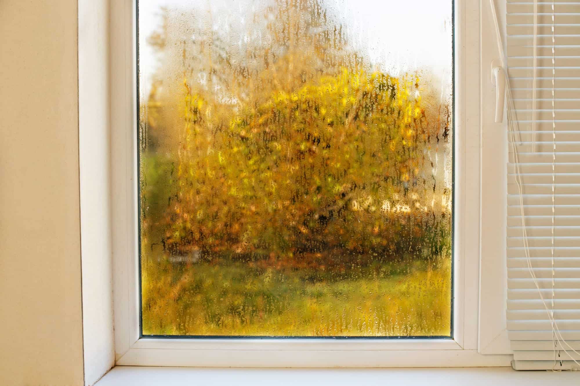 Demystifying Foggy Windows: A Comprehensive Guide to Causes and ...