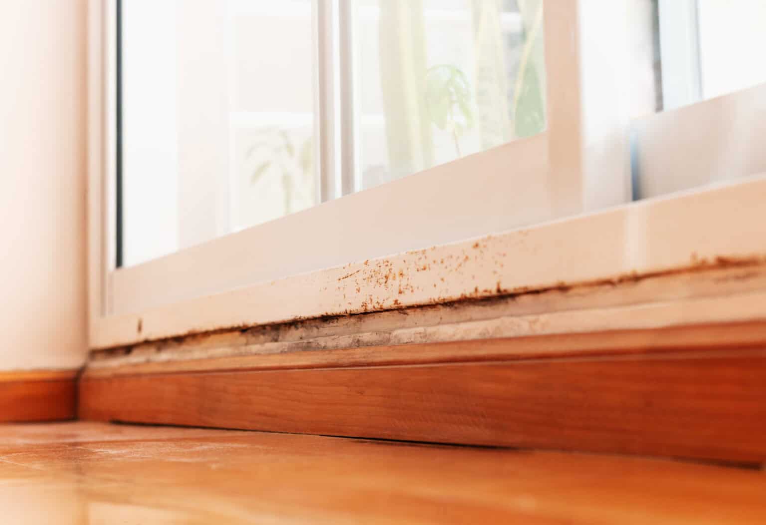 Wood Window Rot Repair - The Glass Guru